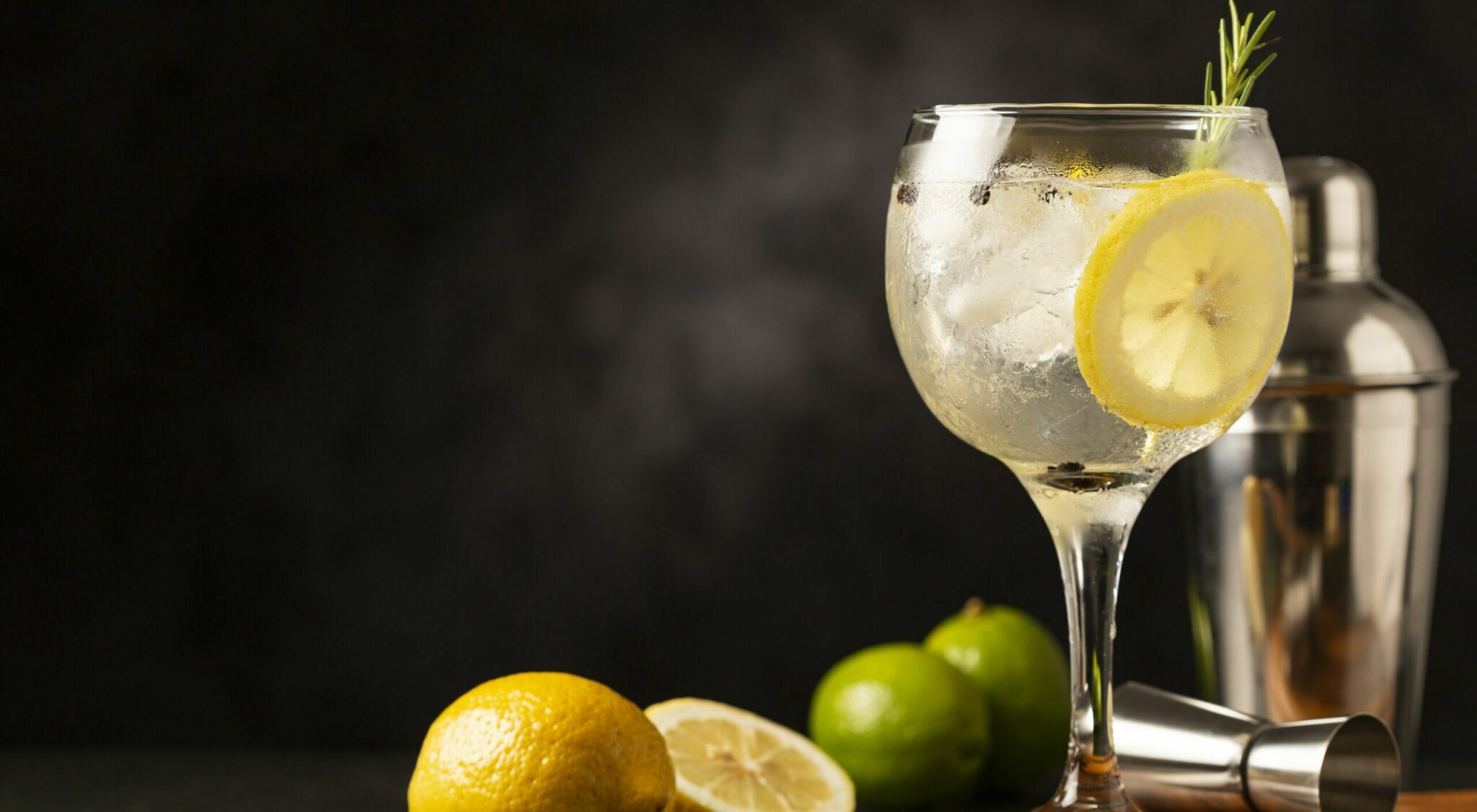 Todo sobre el Gin | Santa Rita