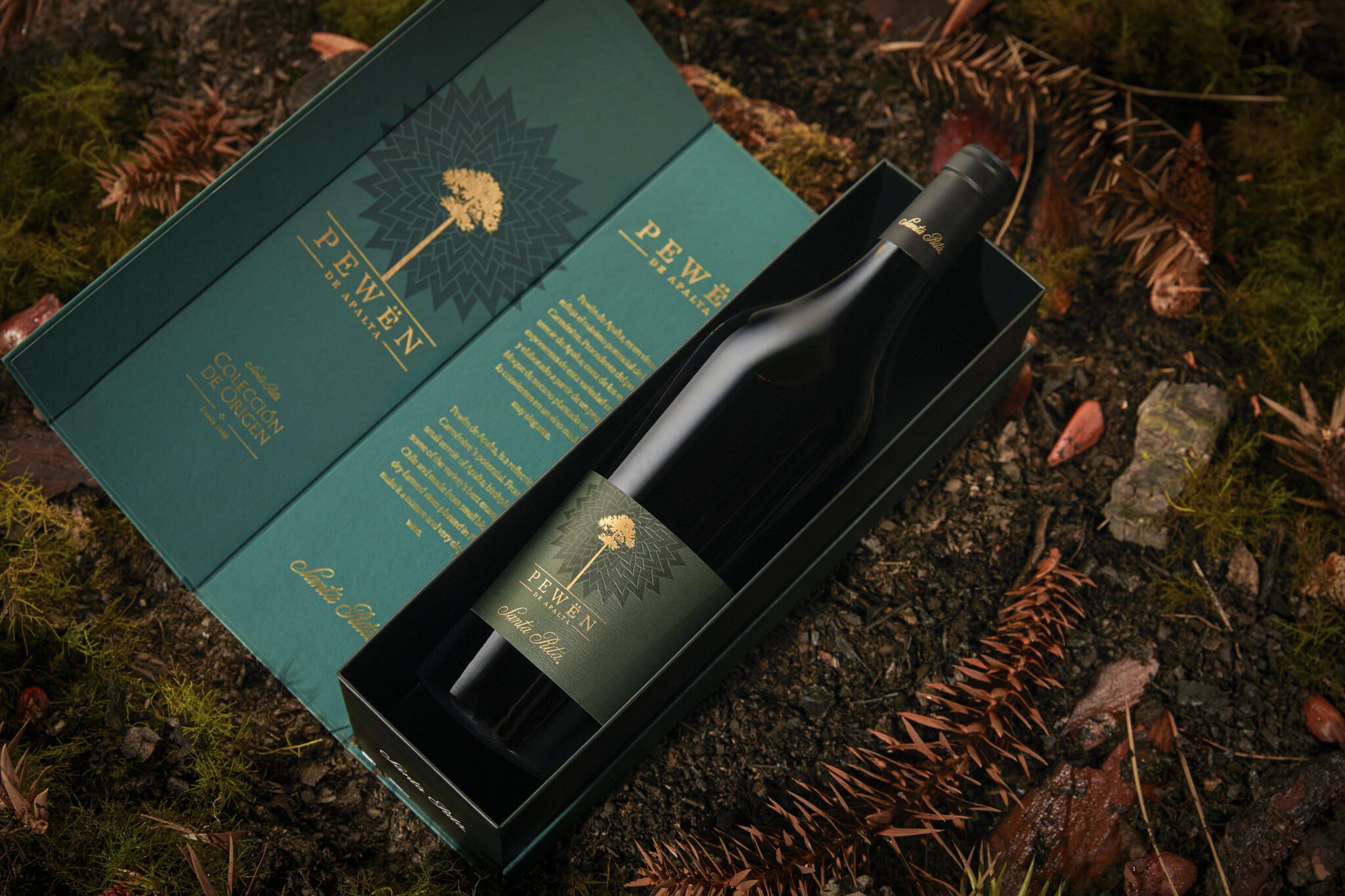 Nuestros vinos premiados como los mejores Carmenere de Chile 2023 ...
